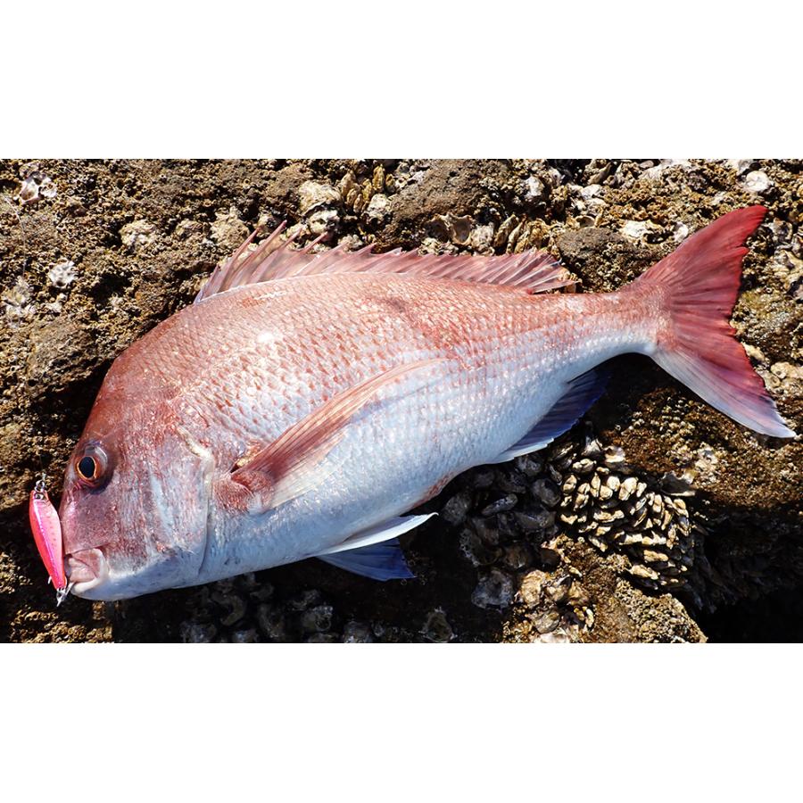 DUEL デュエル F1256-HKVK ハードコア モンスターショット (S) 65mm 05 HKVK ケイムラカタクチ : ルアープラス ...