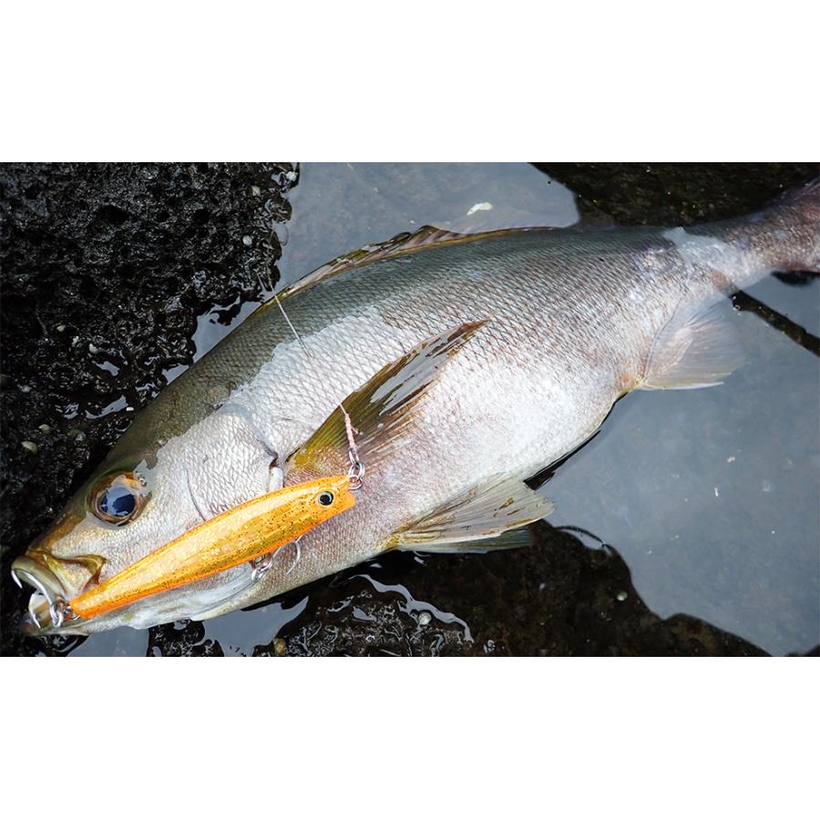 DUEL デュエル F1207-HKVK ハードコア モンスターショット (S) 80mm 15 HKVK ケイムラカタクチ : ルアープラス ...