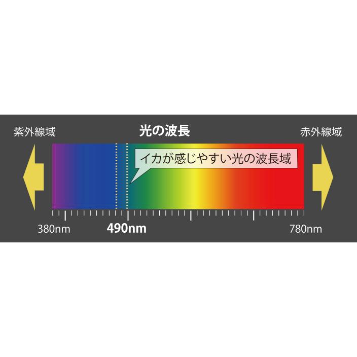YAMASHITA ヤマシタ エギ王K 2.5号 (052) ぶちぶちコーラル : ルアープラス - 通販 - Yahoo!ショッピング