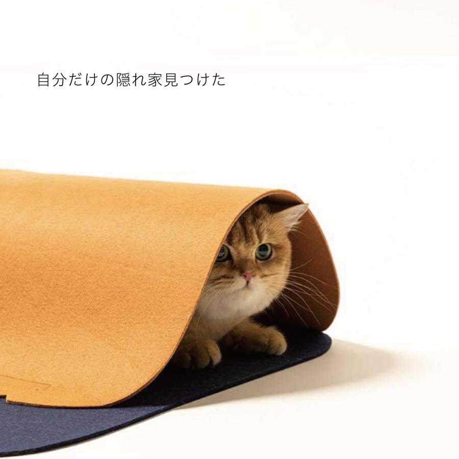pidan ピダン 猫用 トンネル 2枚set ネコ おもちゃ おしゃれ キャットトンネル かくれんぼ 寝床 フェルト 組み合わせ自由 心地よいベッド 送料無料 : Lycka Till ...