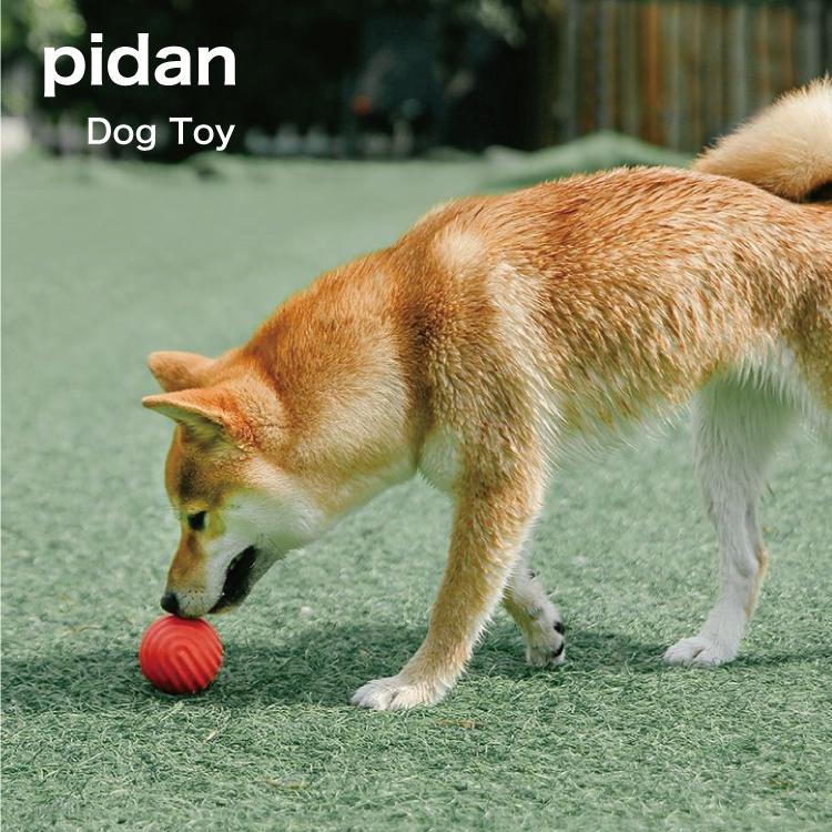 pidan ピダン 犬 ボール おもちゃ Dog Toy 犬用 ウェーブボール 高い 耐久 しっかり 弾力 小型犬 中型犬 大型犬 いぬ イヌ トイ 1人遊び 面白い リッカティル ...