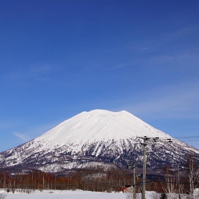 【予約】北海道ニセコファーム 農場直送とれたてグリーンアスパラ1.8kg 2Lサイズ 全国送料無料 : 北の百貨 しりべしやヤフー店 - 通販 - Yahoo!ショッピング