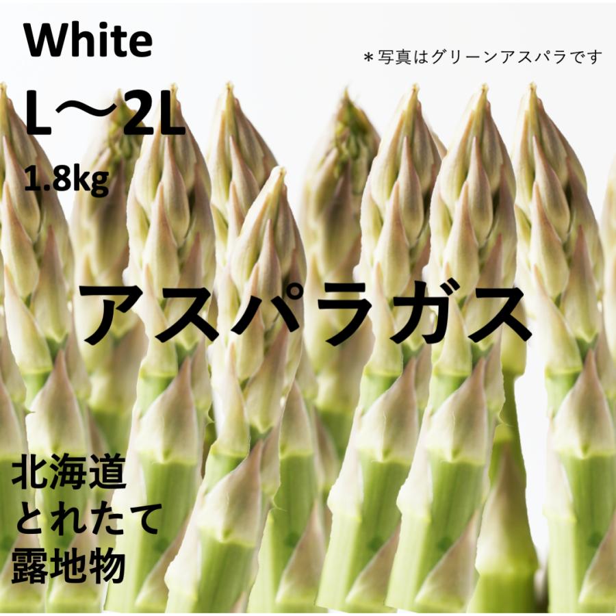 【予約】北海道ニセコファーム 農場直送とれたてホワイトアスパラ1.8kg L〜2Lサイズ 全国送料無料 : 北の百貨 しりべしやヤフー店 - 通販 - Yahoo!ショッピング
