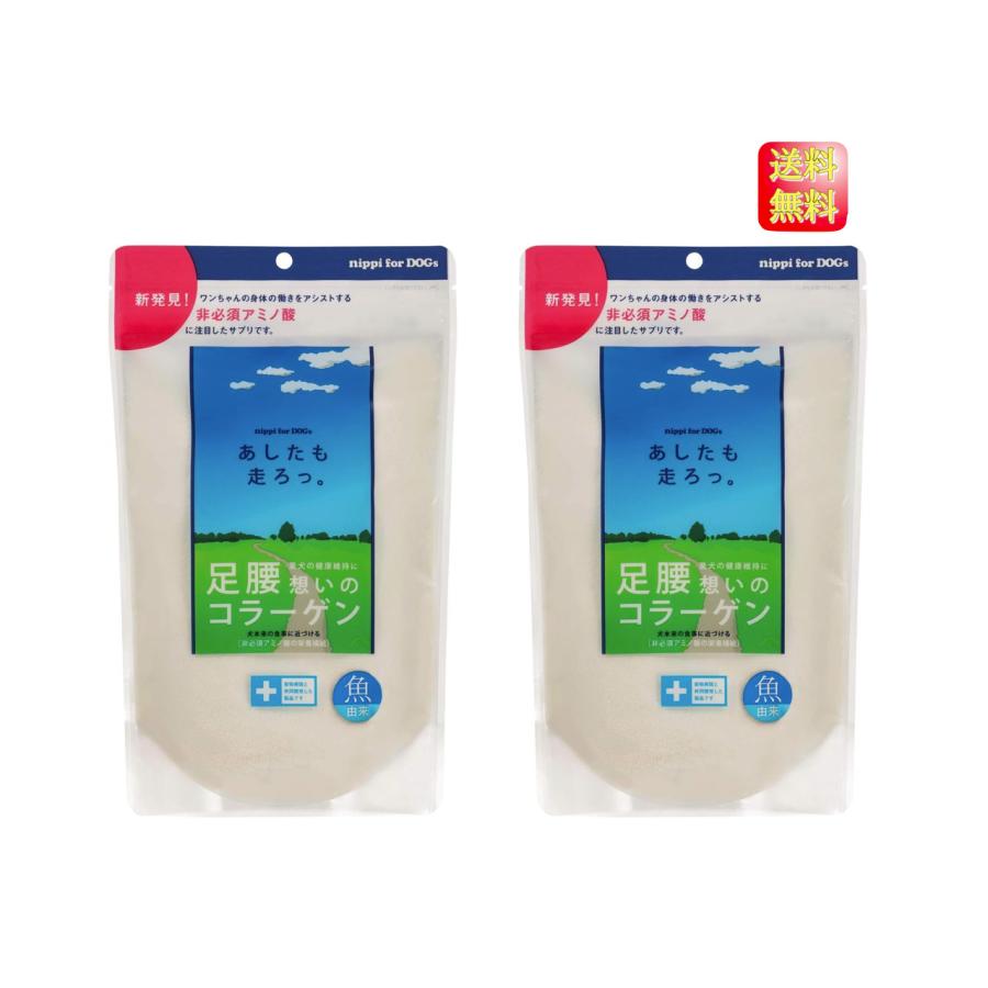 ニッピ nippi 犬用健康補助食品 あしたも走ろっ 160g（魚由来） 2袋 : イロドリ健康百貨 - 通販 - Yahoo!ショッピング