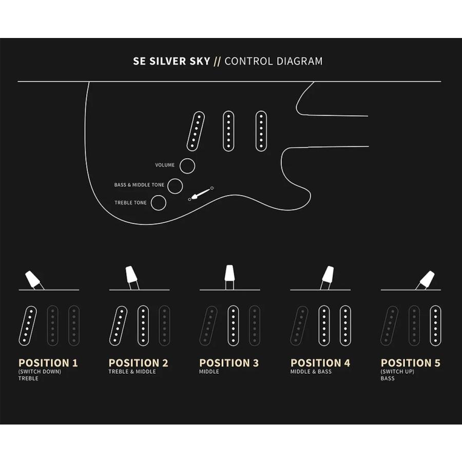 PRS (Paul Reed Smith) SE Silver Sky Rosewood Piano Black 【2023年製】 [CTI ...