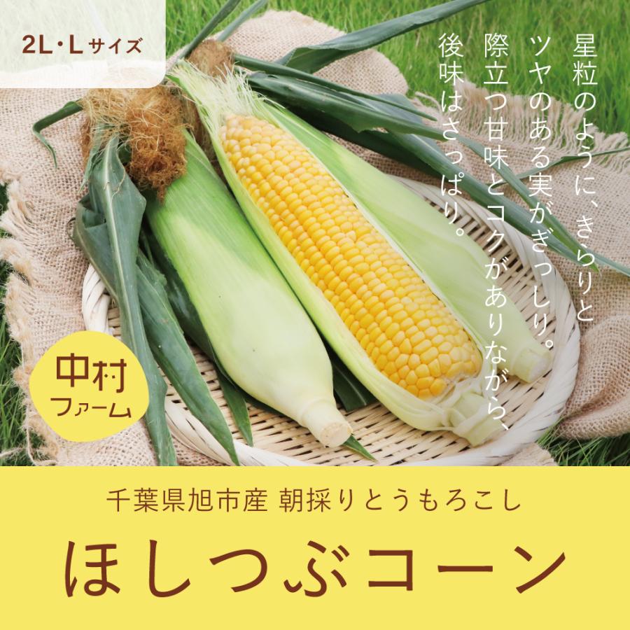 ほしつぶコーン 5kg （2L・Lサイズ） : 花悠 豚肉専門店 マームピッグ - 通販 - Yahoo!ショッピング