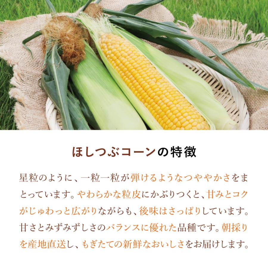 ほしつぶコーン 5kg （2L・Lサイズ） : 花悠 豚肉専門店 マームピッグ - 通販 - Yahoo!ショッピング
