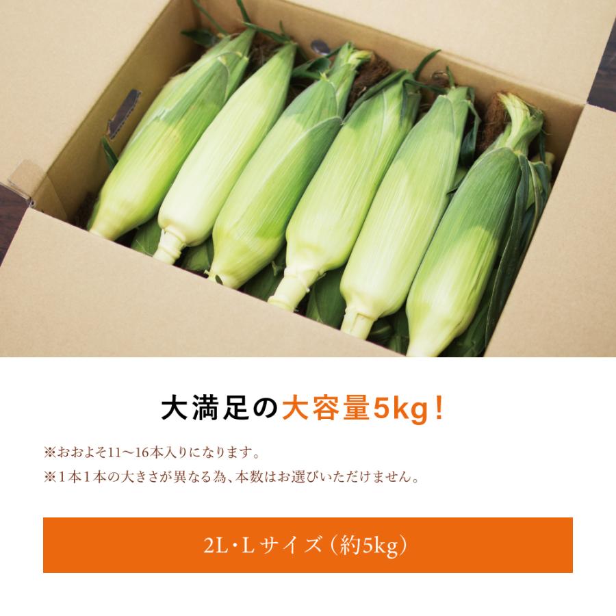 ほしつぶコーン 5kg （2L・Lサイズ） : 花悠 豚肉専門店 マームピッグ - 通販 - Yahoo!ショッピング