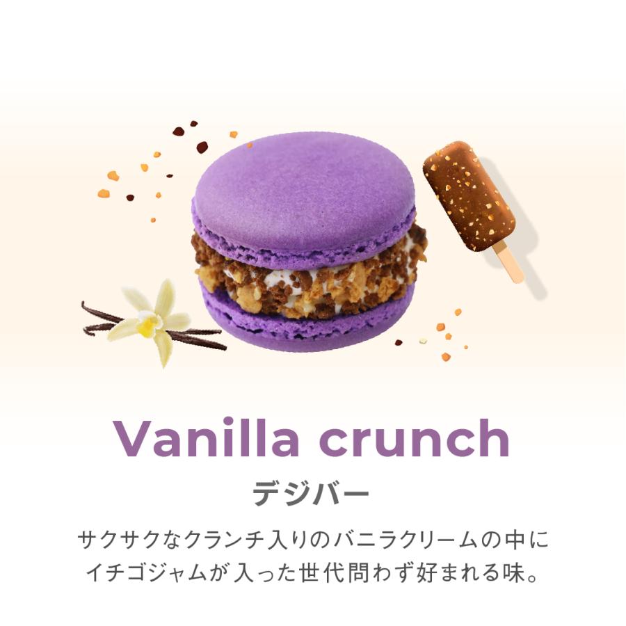 太っちょマカロン MACAPRESSO マカマニア デジバー 6個セット 太っちょマカロン MACAPRESSO マカマニア デジバー 6個セット