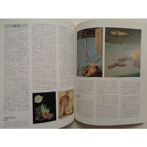 「日本のシュールレアリスム 1925-1945」[B220191] : 町の入口 Yahoo!ショッピング店 - 通販 - Yahoo!ショッピング