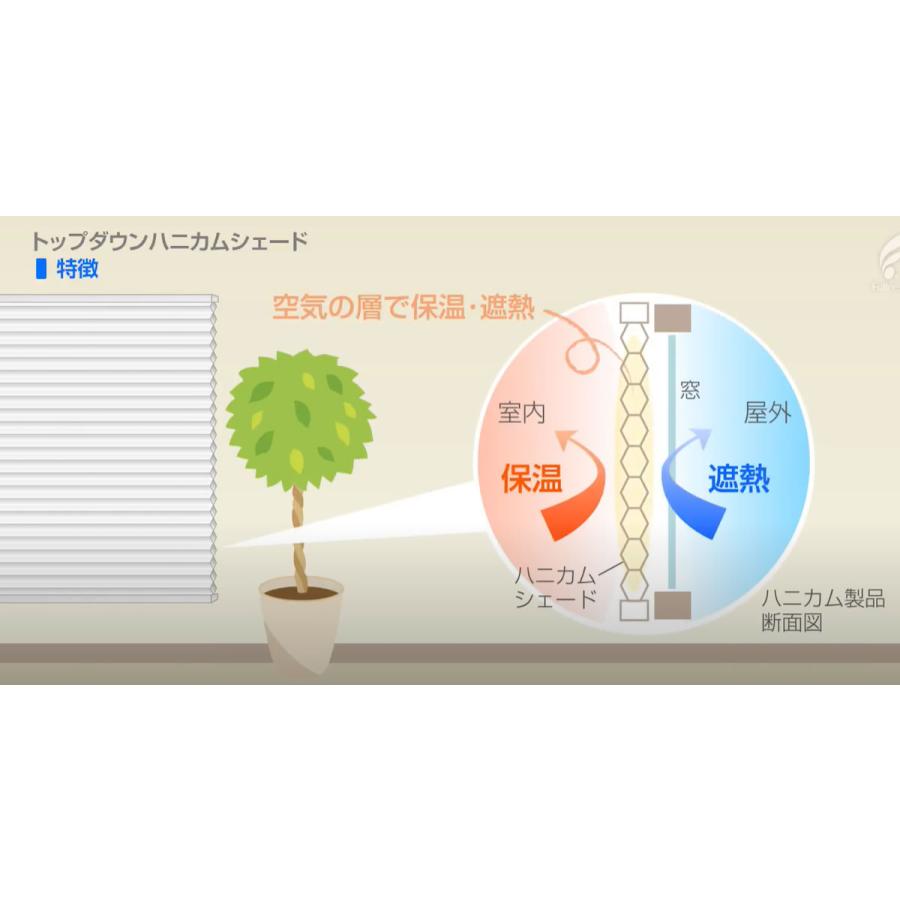 （コードレス） 上下開閉可能 トップダウン ハニカム シェード 採光 規格品 横幅90cm×高さ200cm :topdown-hs-90-200:ロールスクリーン通販MADO - 通販 ...
