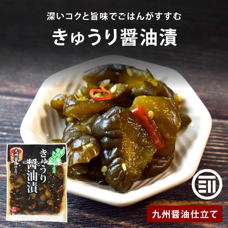 漬物 国産 きゅうり醤油漬 100g x5袋 上沖産業 無添加 九州しょうゆ仕立て ピリ辛 甘辛醤油 生姜 唐辛子 宮崎県産 お茶漬け 低カロリー : kyuuri-syoyu-5 ...
