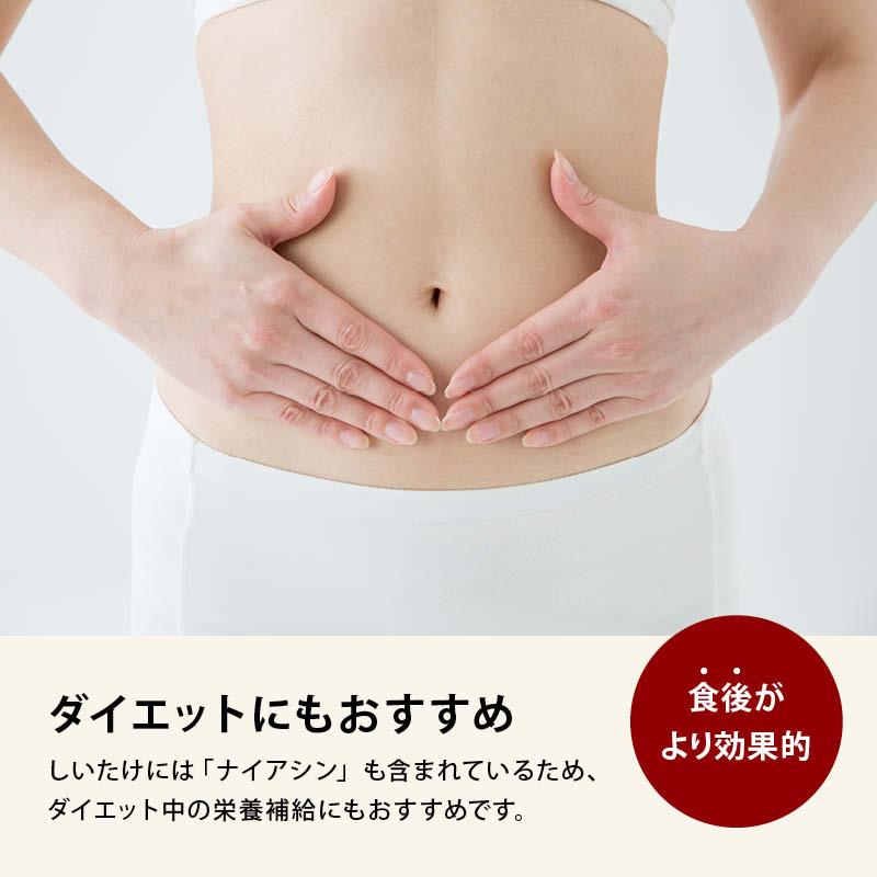 前田家 国産 無添加 しいたけ茶 90g (2.5g×12P)x3袋 ティーバッグ 無塩 無香料 無着色 化学調味料無添加 健康茶 美と健康 : MAEDAYA 前田家 - 通販 ...