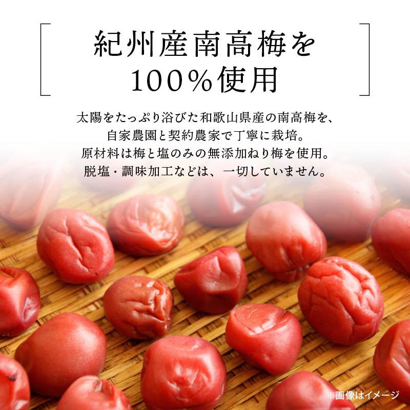 熱中症対策 梅干タブレット 50g 紀州産南高梅 梅と塩のみ 梅 梅干し ねり梅 タブレット スポーツ アウトドア 夏バテ防止 熱中症 塩分 ...