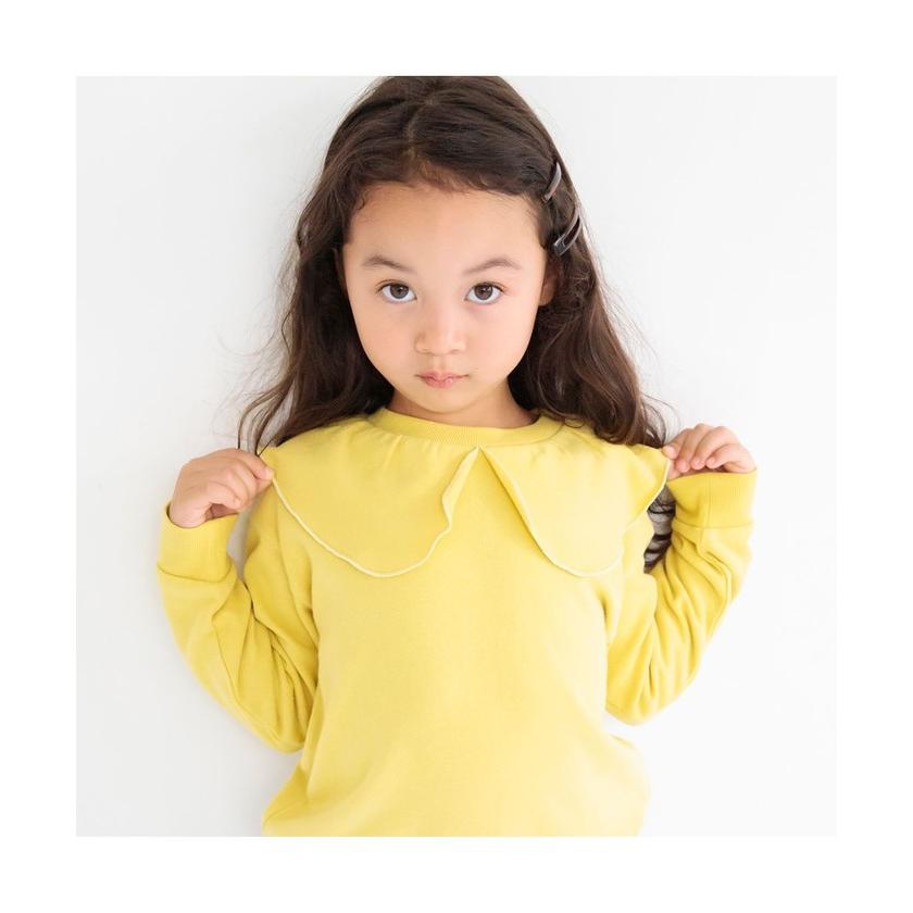 branshes 【branshes】【DRC】襟付き裏毛トレーナー スゥエット : MAGASEEK ヤフー店 - 通販 - Yahoo!ショッピング