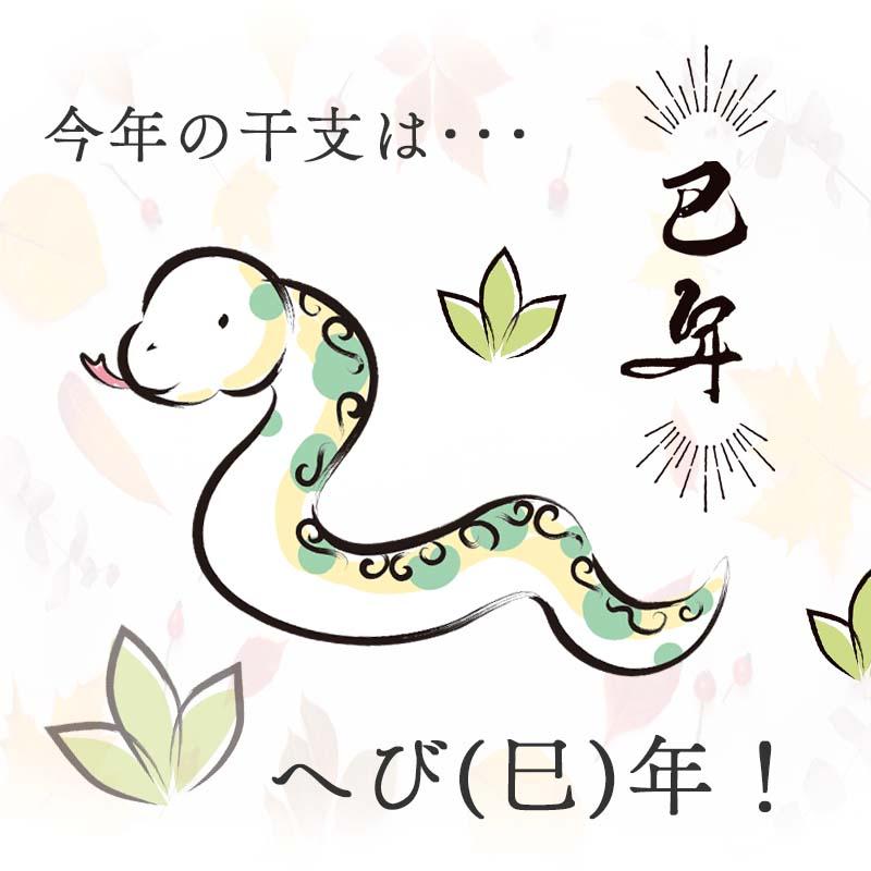 マジックスクウェア おまけ付き 特大 大きい ウォールステッカー お正月 干支 巳 2025 飾り 【特大サイズ Happy にょろ Year】 はがせる 壁 シール ステッカー 壁紙 受注 ...