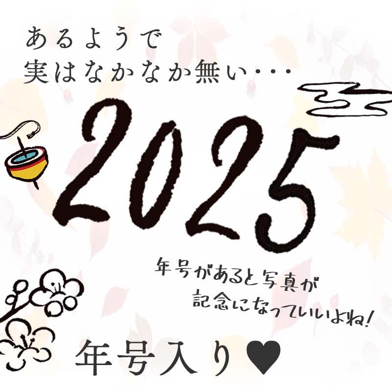 ウォールステッカー お正月 干支 巳 飾り はがせる 壁 シール ステッカー 大きい 壁紙 おしゃれ 十二支 謹賀新年 新年 正月飾り しめ縄 門松 受注印刷 : ウォールステッカーの ...