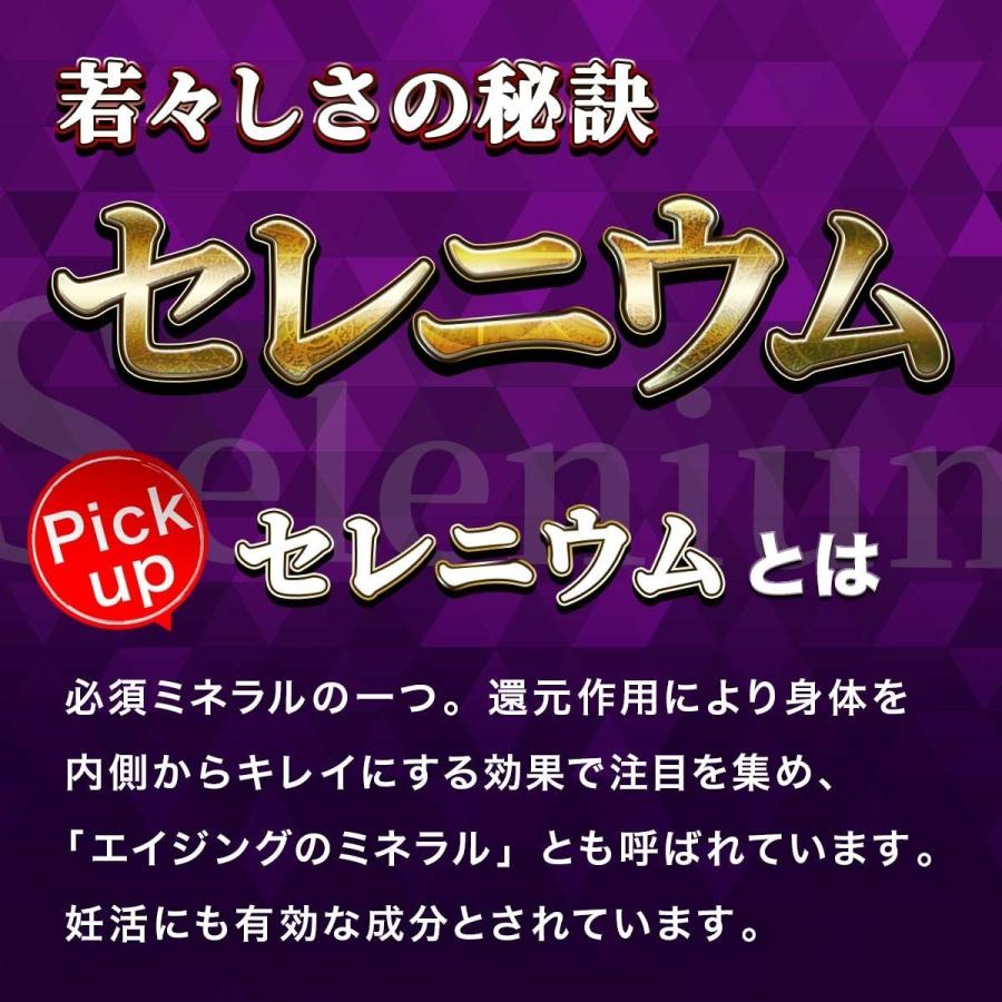 MAGINA マカ 亜鉛 すっぽん サプリメント MACAVELAS マカベラス 2袋 シトルリン アルギニン カンカ トンカットアリ クラ ...