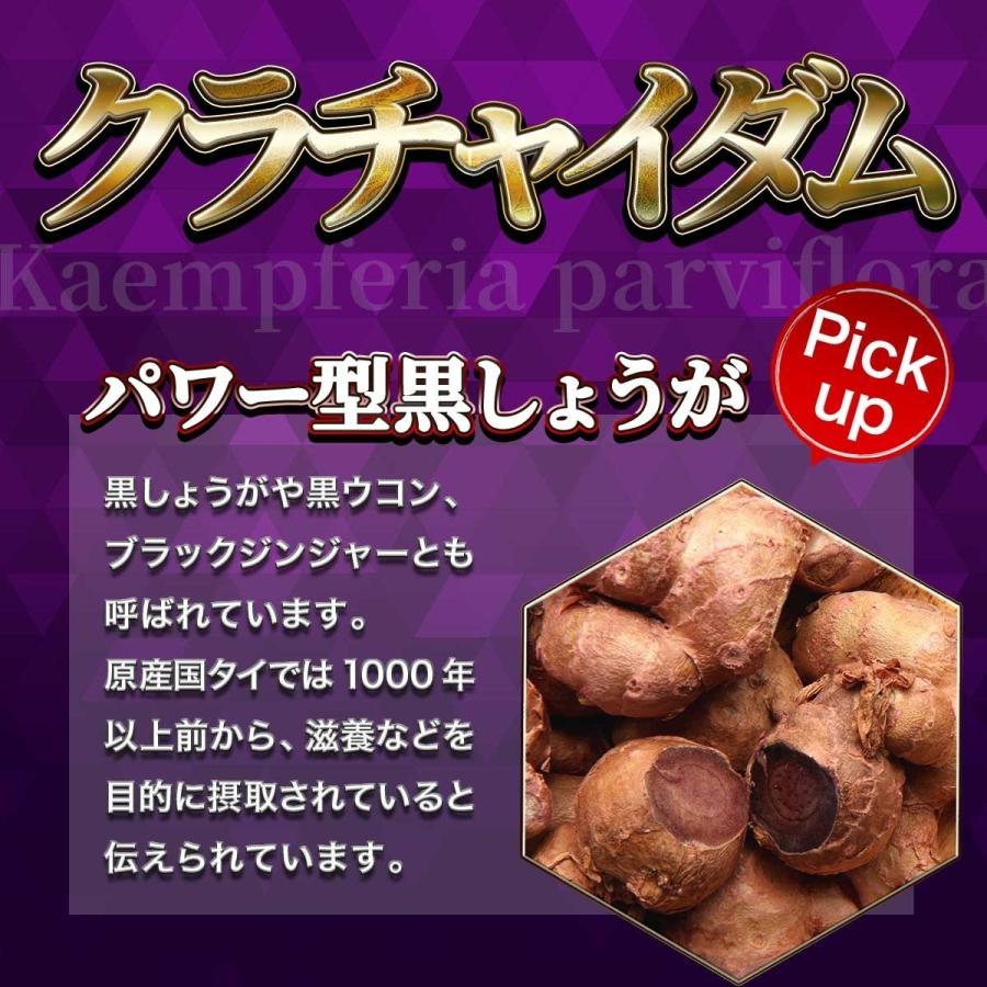 MAGINA マカ 亜鉛 すっぽん サプリメント MACAVELAS マカベラス 2袋 シトルリン アルギニン カンカ トンカットアリ クラ ...