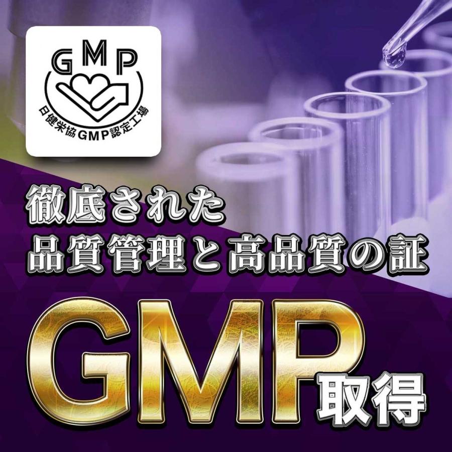 MAGINA マカ 亜鉛 すっぽん サプリメント MACAVELAS マカベラス 2袋 シトルリン アルギニン カンカ トンカットアリ クラ ...