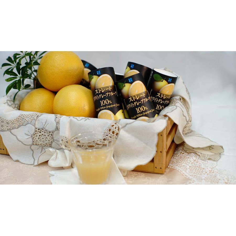 コーシン ストレートホワイトグレープフルーツ100％ 195g×15本（カートカン） : まごごろマート本店 - 通販 - Yahoo!ショッピング