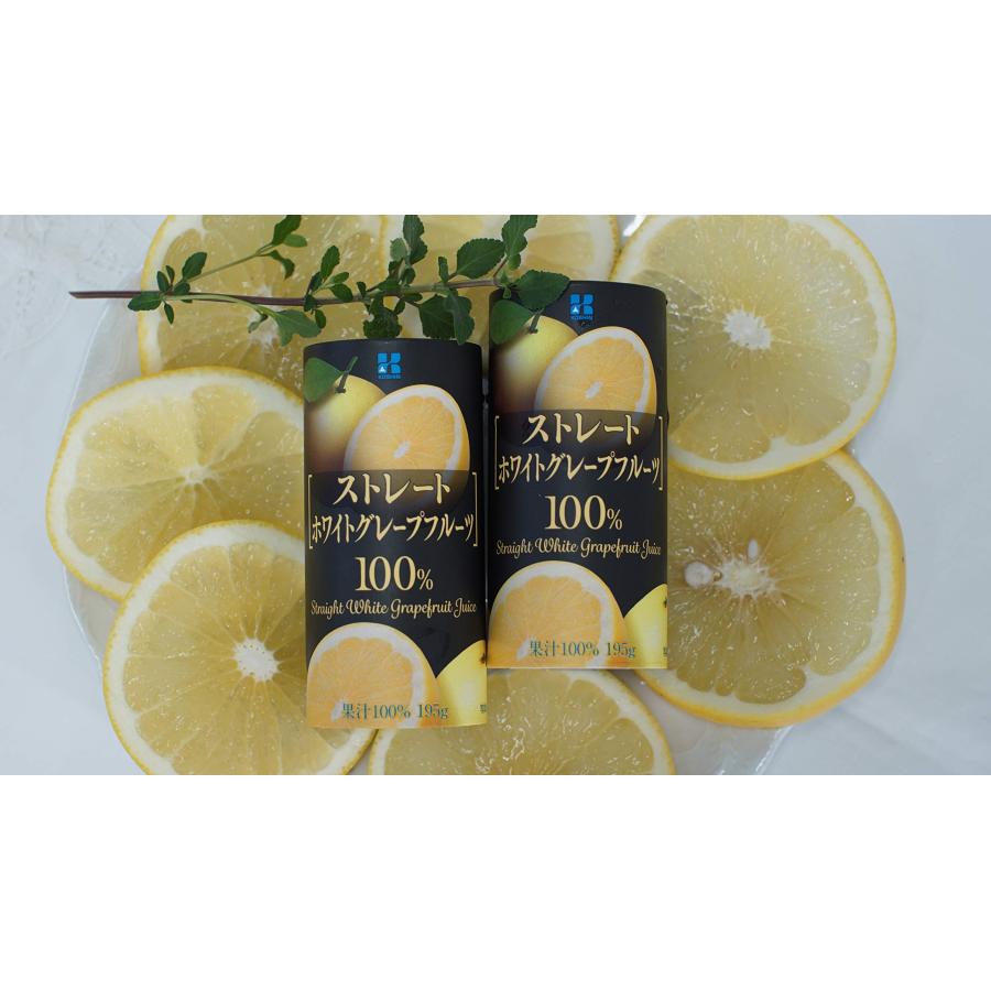 コーシン ストレートホワイトグレープフルーツ100％ 195g×15本（カートカン） : まごごろマート本店 - 通販 - Yahoo!ショッピング