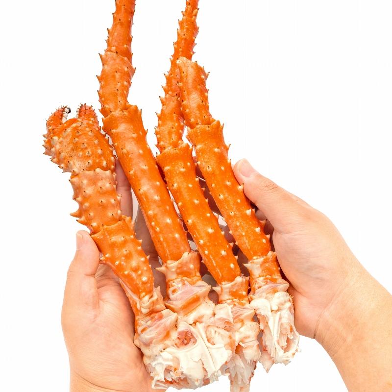 お歳暮 ギフト ゴールデンキングクラブ＆生ウニセット ゴールデンキングクラブ 5L 1kg ＆ ウニ 無添加 100g タラバガニ科 イバラガニ かに カニ 蟹 うに お中元 : マグロ問屋 ...