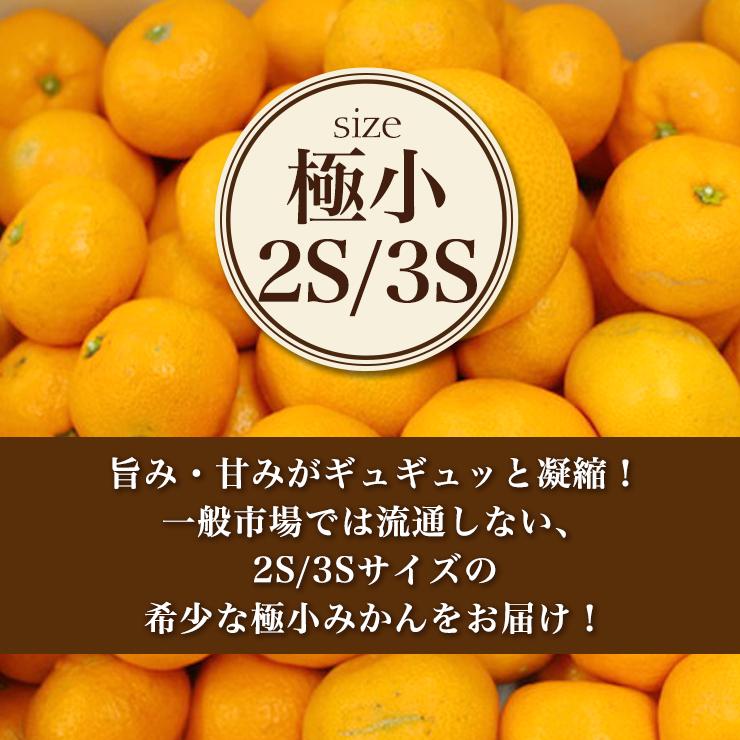 三ヶ日 早生 みかん5kg どうまいらぁ！ 小粒 3S 2S サイズ混合 みかん 送料無料 三ヶ日みかん 産地直送 ミカン 蜜柑 5キロ 美味しい ギフト : 産直タウン - 通販 ...