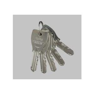 2個同一 QDJ695-QDJ696 DDZZ3022 FG-E 鍵(カギ)交換 取替えシリンダーセット DNシリンダー 標準キー5本付き LIXIL（リクシル）TOSTEM（トステム ...