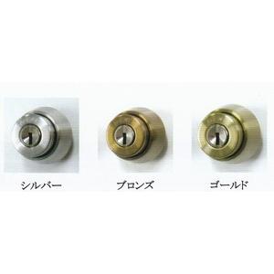 MIWA LE01,TE02 鍵交換用 AGENT,エージェント LSP 2個同一シリンダー 鍵 交換 : 鍵の卸売りセンターYahoo!店 - 通販 - Yahoo!ショッピング