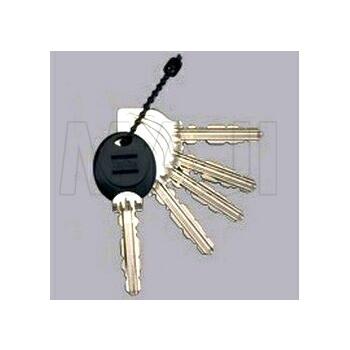 2個同一 QDC17-QDC18-QDC19 プレナスII断熱タイプ シリンダーセット URシリンダー ドア厚40mm用 標準キー5本付き LIXIL（リクシル）TOSTEM（トステム ...