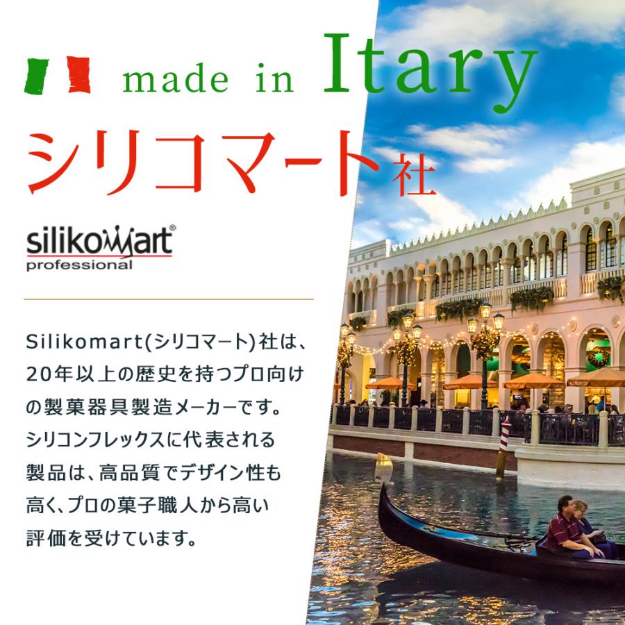 シリコマート SF020 ミディアムババ 11個付 シリコン型 | SILIKOMART シリコンフレックス 円錐 :SF020-MEDIUM ...