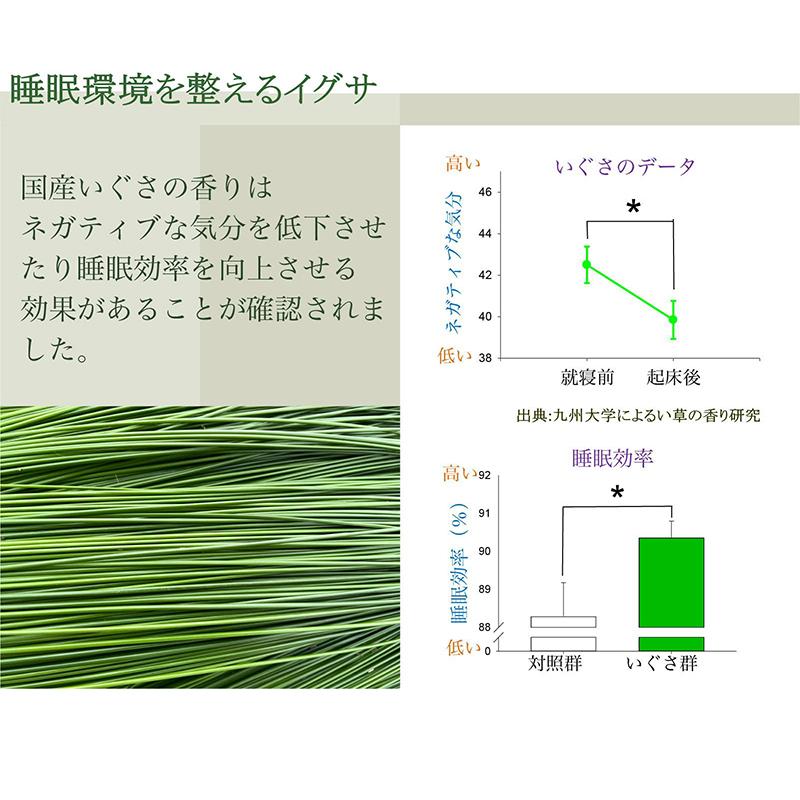 Makuake公式 良質な睡眠環境を追求したIGUNEMUからイグサを楽しむアロマディフューザー誕生 マクアケ ディフューザー アロマ 香り ルームフレグランス : Makuake Store ...
