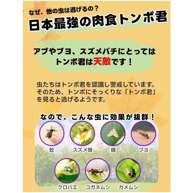 （B8）8個／12cmオニヤンマ虫除け 効果おにやんまリアルトンボ虫よけ虫対策 安全ピン&ストラップ付き釣り山登りキャップ屋外ゴルフ昆虫 スズメバチ（B8） : MAMASANI - 通販 ...