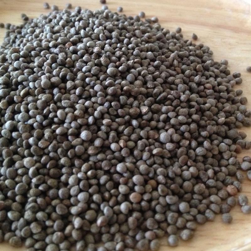 【ゆうパケット送料無料】えごま (黒) 「200g」 岩手県産 国産 荏胡麻 じゅねん 農薬不使用 : 築地 豆雑穀問屋 三栄商会 - 通販 ...