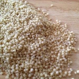 【宅配便】白ひえ「300g」岩手県産 無農薬栽培 ひえ 国産100% 農薬不使用 雑穀 : 築地 豆雑穀問屋 三栄商会 - 通販 ...