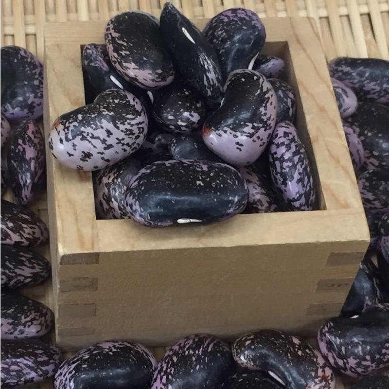 【宅配便】高原花豆 「大粒 300g」 信州産 紫花豆 令和6年産 吉沢農園 農薬不使用 花豆 煮豆レシピ付き : 築地 豆雑穀問屋 三栄商会 ...