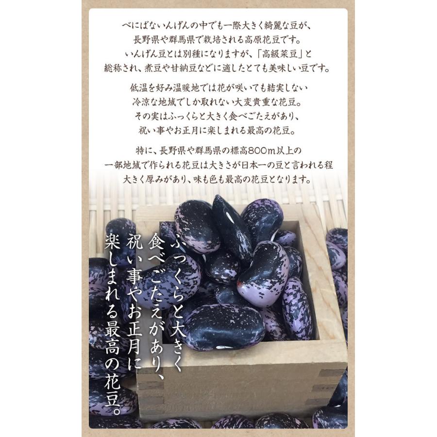 【宅配便】高原花豆 「大粒 300g」 信州産 紫花豆 令和5年産 吉沢農園 農薬不使用 花豆 煮豆レシピ付き :100000146:築地 豆 ...