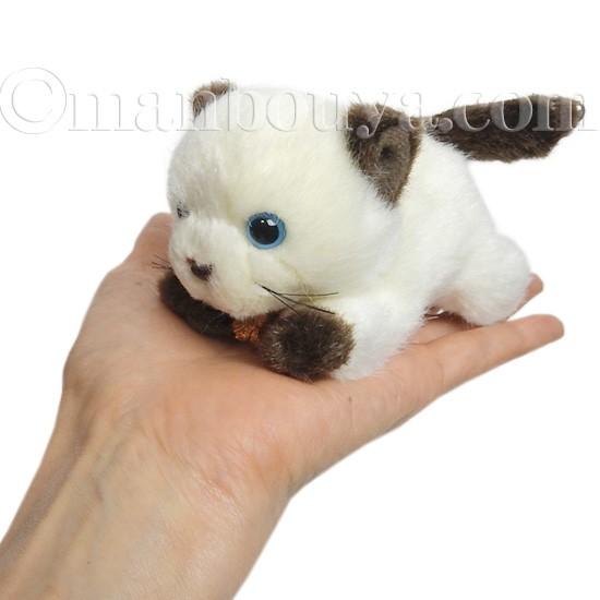 ぬいぐるみ 猫 たけのこ TAKENOKO JOYFUL MATES ジョイフルメイト シェリー這い シャムネコ 11cm : まんぼう屋 ...