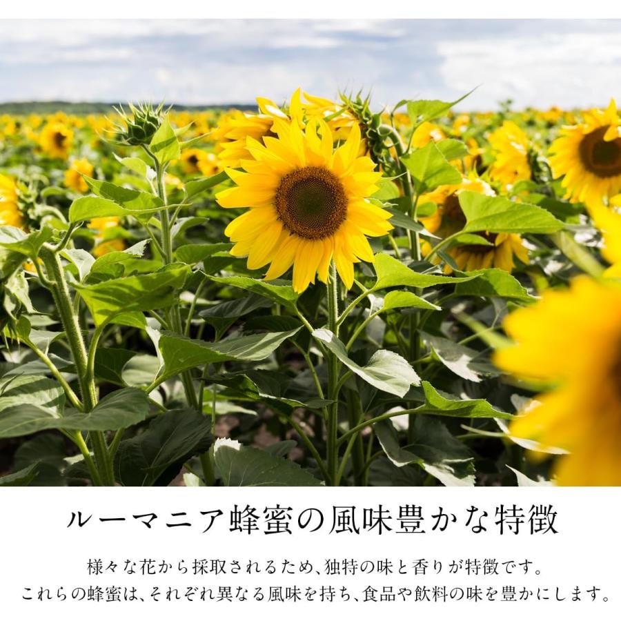 【☆売り尽くしセール】はちみつ 正栄 ルーマニア産 純粋はちみつ 1500g(500gx3) iikakaku : iiKaKaKu ヤフー店 - 通販 - Yahoo!ショッピング