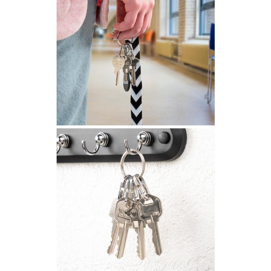 NITEIZE ナイトアイズ キーリング マイクロリンク カラビナー KEYRING MICRO LINK 鍵 4本 まとめる カラビナ ...