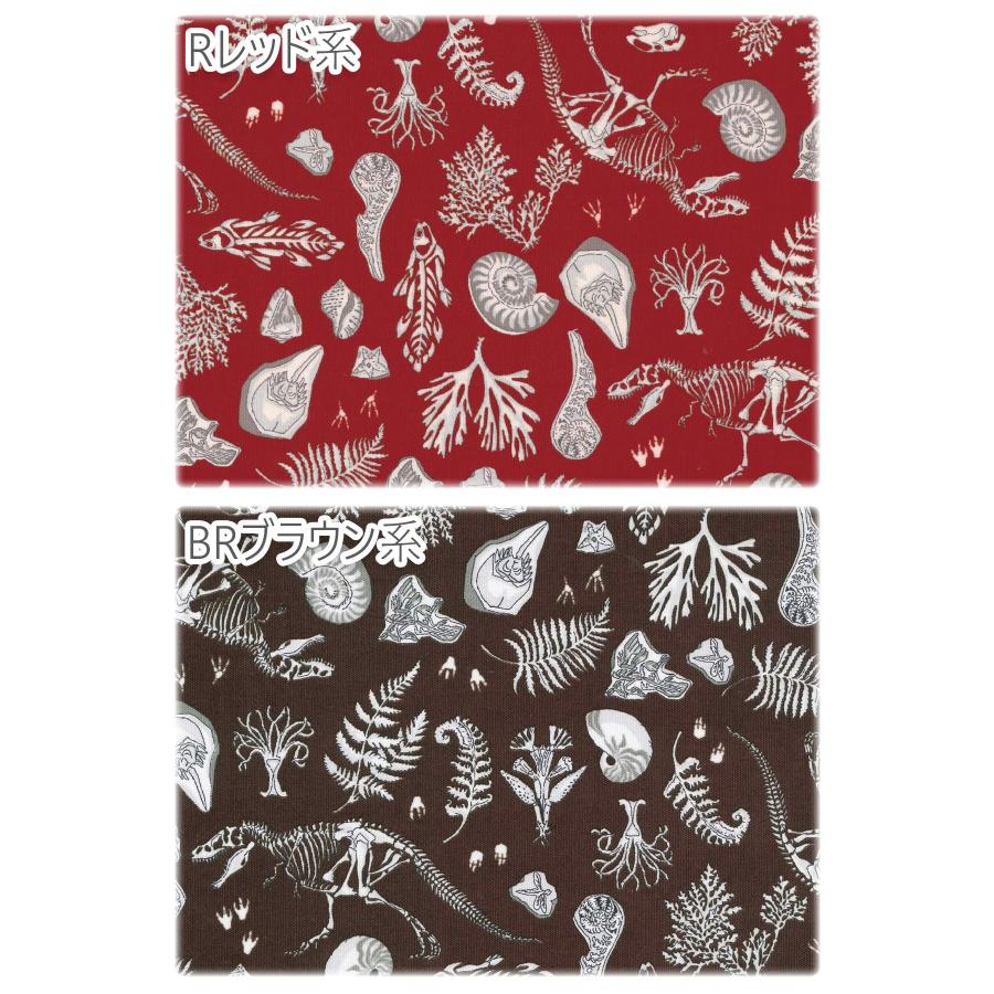 化石博物館 オックス生地 10cm単位 切り売り NNF-13 清原 (40cm以上) [在庫限り☆] : まんま母さんのりぼん - 通販 - Yahoo!ショッピング