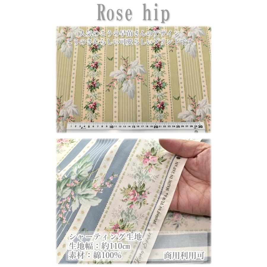 YUWA有輪商店 ローズヒップ 10cm単位 切り売り シャーティング生地 KS24-006 (20cm以上) : 24040048 : まんま母さんのりぼん - 通販 - Yahoo!ショッピング