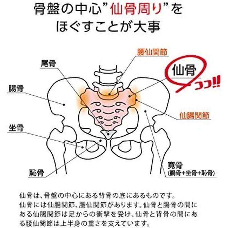 PROIDEA(プロイデア) コシレッチ : 満天堂 - 通販 - Yahoo!ショッピング