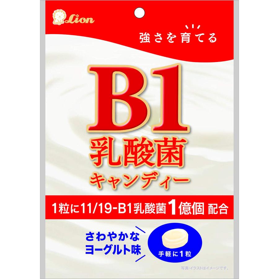 ライオン菓子 B1乳酸菌キャンディー 72g ×6個 : 20231129002303-00324 : 満天堂ヤフーショッピング店 - 通販 - Yahoo!ショッピング