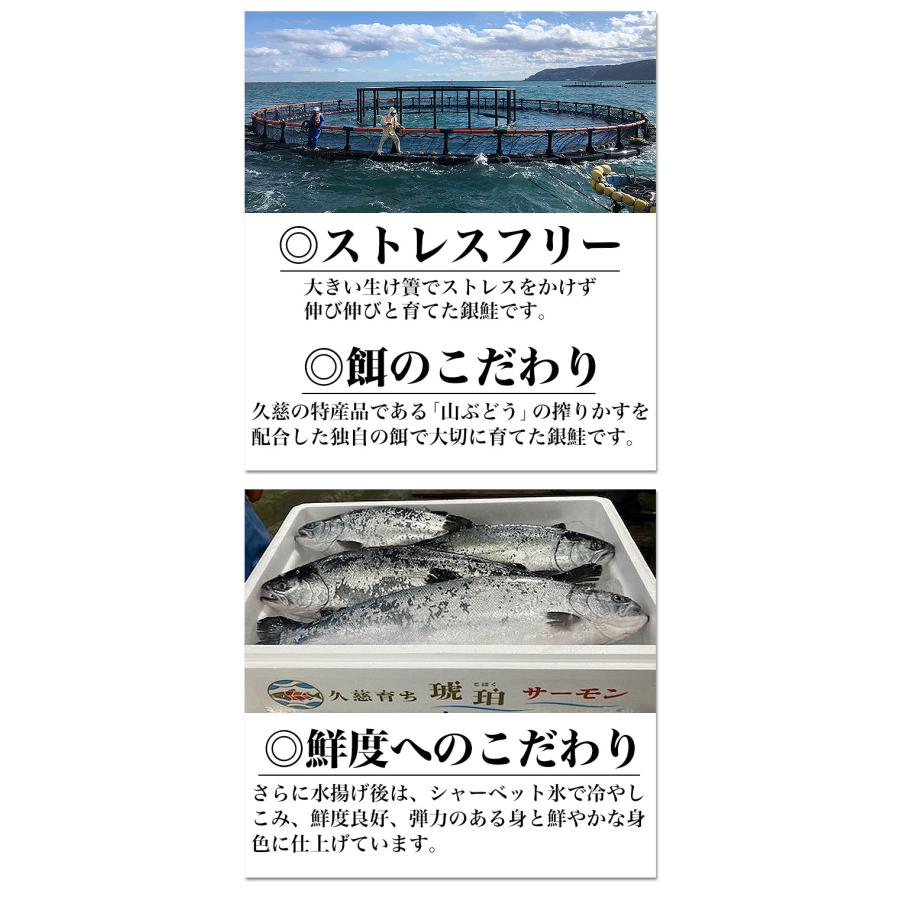 12缶 琥珀サーモン 鮭の中骨水煮缶 サケ さけ シャケ 鮭 サラダ パスタ カルシウム 非常食 缶詰 缶詰め 防災 備蓄 保存食 ローリングストック 送料無料 : 満足良品館 - 通販 ...