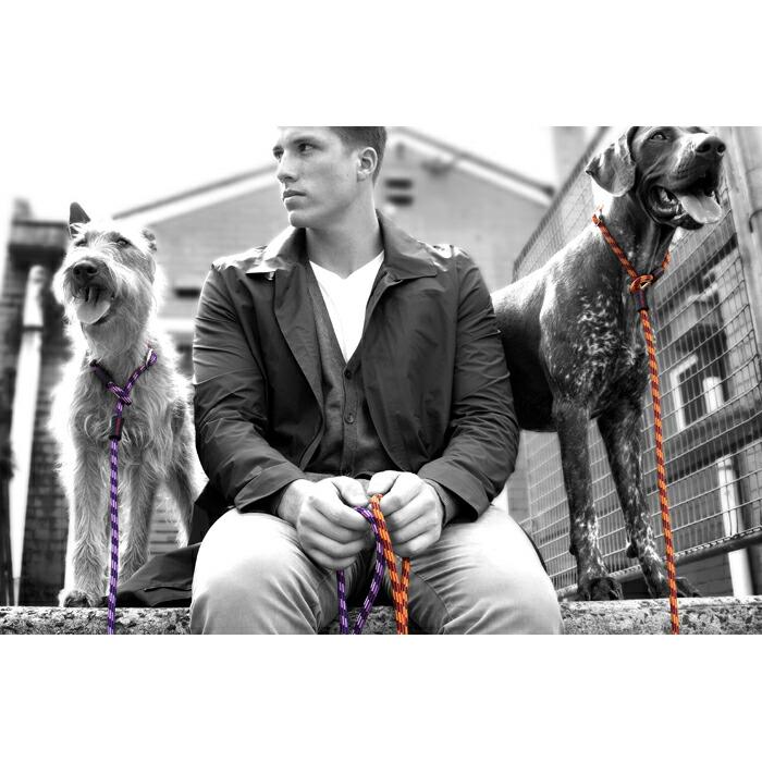 EZYDOG（イージードッグ） ルカリード ブラック 中型犬〜大型犬 9mm : マペット - 通販 - Yahoo!ショッピング