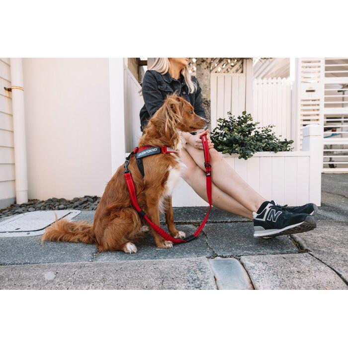 EZYDOG（イージードッグ） エクスプレスハーネス 小型犬〜中型犬 S レッド : マペット - 通販 - Yahoo!ショッピング