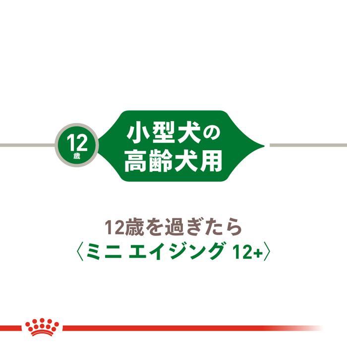 ロイヤルカナン ロイヤルカナン（ドッグフード） SHN ウェット ミニ エイジング12+ 小型犬の高齢犬用（12歳以上） 85g : マペット - 通販 - Yahoo!ショッピング