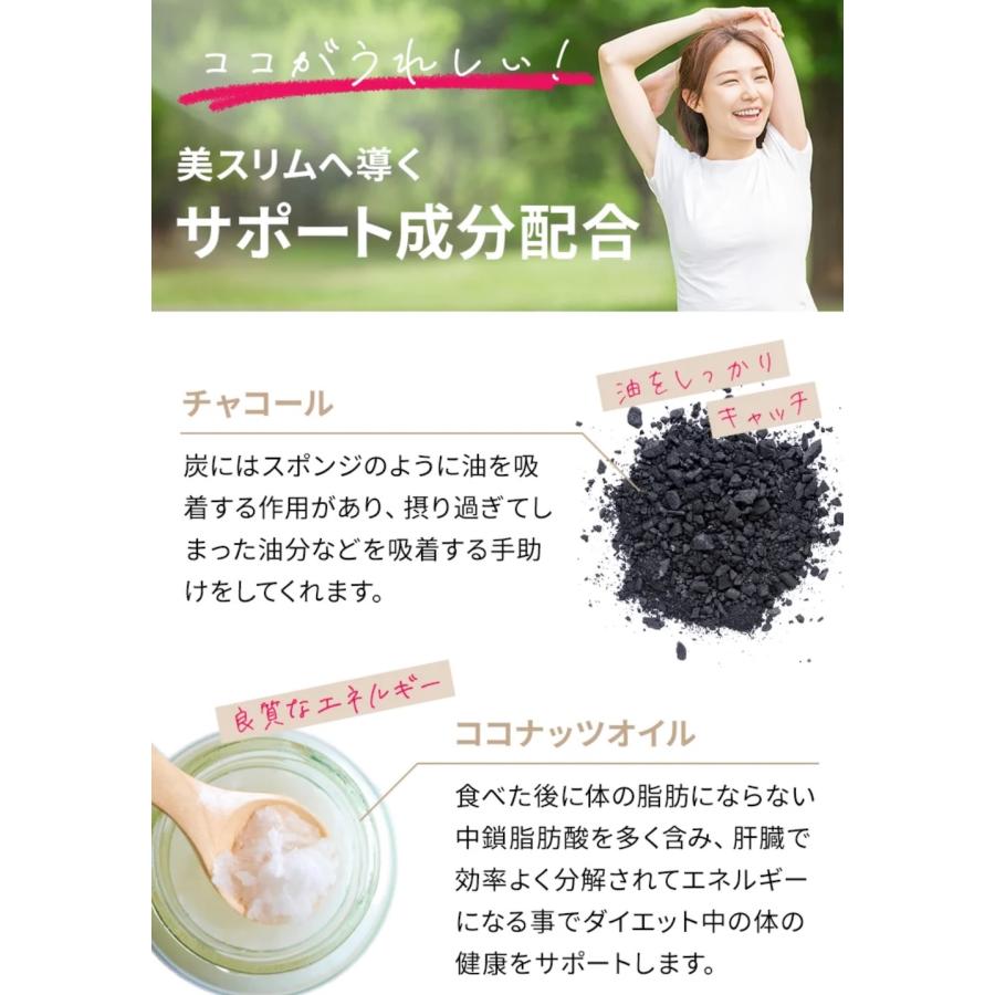 公式パンフレット付 DD BLACK COFFEE SLIM DDブラックコーヒー 99g 30日分 パウダー 炭コーヒー 食物繊維 ダイエット 難消化デキストリン 日本製 腸活 ...